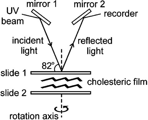 Apparatus Setup Of The Uv Vis Spectrophotometric Method The Fixed Download Scientific Diagram