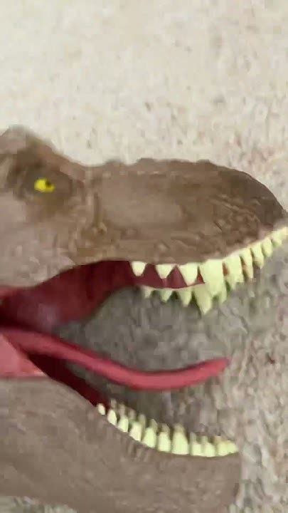 Random Dinosaur Goofy Ahh Meme 🤪 Youtube