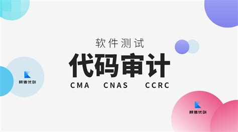 第三方软件检测机构进行代码审计需要什么是资质？ Csdn博客