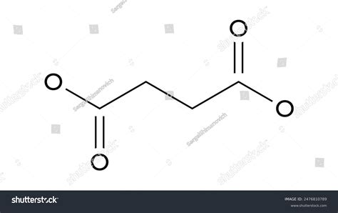 Succinate Molecule Structural Chemical Formula Ball And Stick Stock Illustration 2476810789