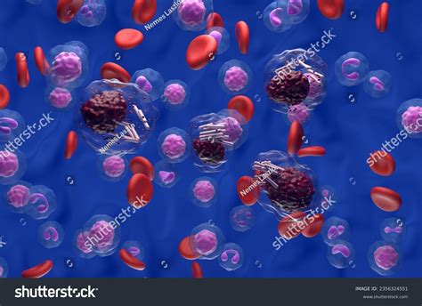871 Cll Cell Royalty Free Photos And Stock Images Shutterstock