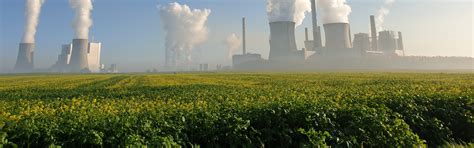 What Is Carbon Sequestration Climatetrade