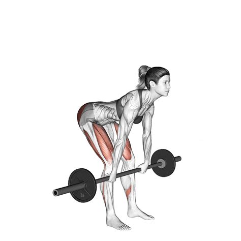34 Best Leg Exercises For Building Muscle And Strength According To
