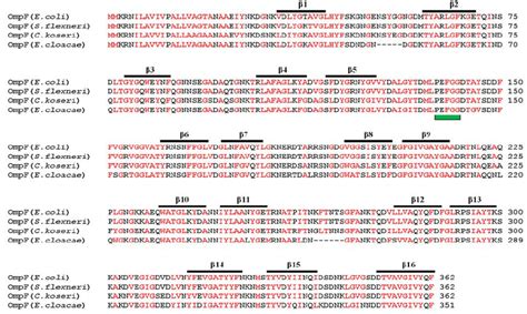 Sequence Alignment Of Ompf From Selected Bacteria Depicting Alternative