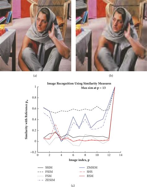 Figure 17 From An Entropy Histogram Approach For Image Similarity And