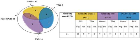 Comparison Of Nested Pcr With Microscopy Results For Detecting P