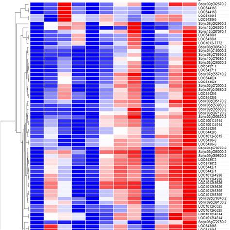 heatmap and hierarchical clustering showing expression pattern of 67