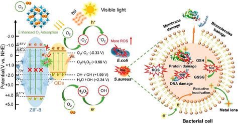 Figure 9 From Colloidal Quantum Dots As An Emerging Vast Platform And