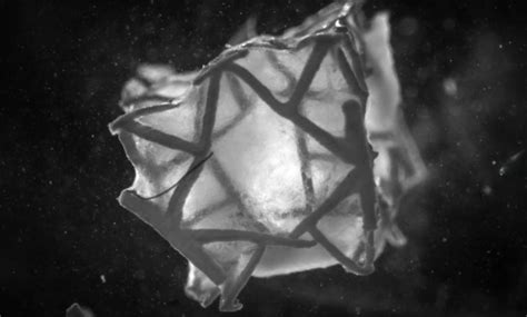 Eth Zurich Researchers 3d Print Heart Patch