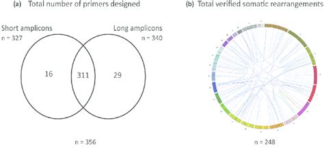 Verification Of Somatic Structural Rearrangements From A Highly Download Scientific Diagram