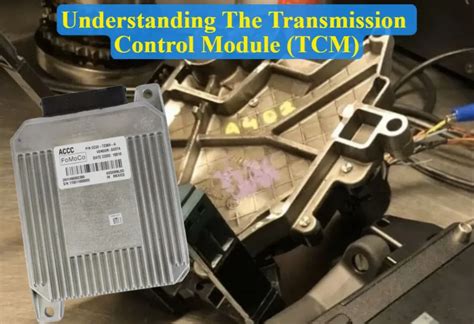 understanding the transmission control module tcm cariffy