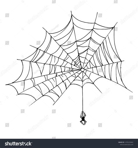 Spider Net Drawing