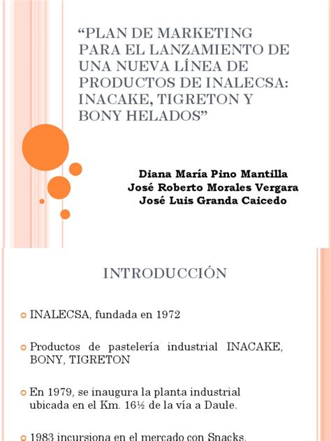 Ejemplo De Un Plan De Mercadeo 2 Pdf Marca Marketing