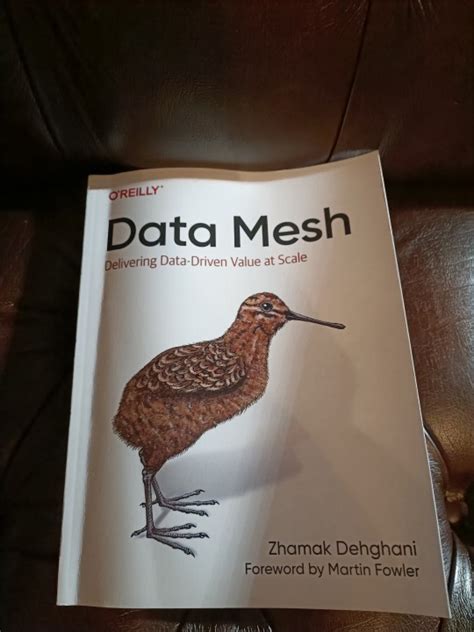 Why Data Mesh