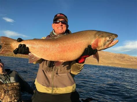 Lahontan Cutthroat Trout Pyramid Lake