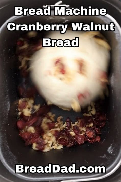 Bread Machine Cranberry Walnut Bread Recipe Video Bread Dad Recipe In 2025 Bread Machine