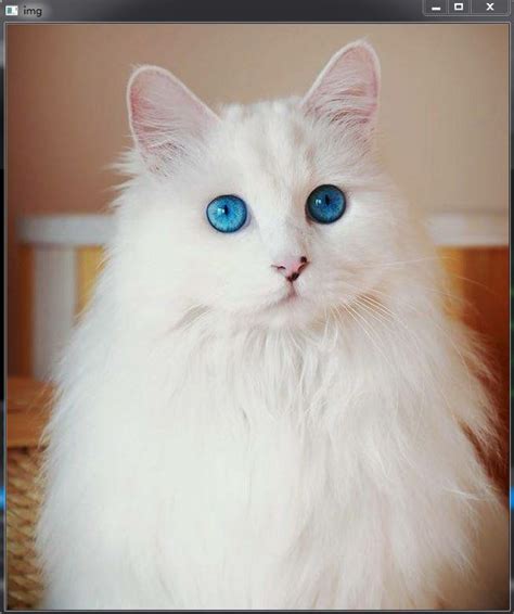 图像读取函数cvimread的几种使用方式 Libertyu 博客园