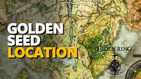 Golden Seed Elden Ring Location Youtube
