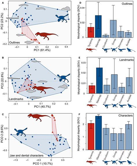 Morphological Disparity In Theropod Jaws Comparing Discrete Characters And Geometric