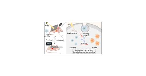 A Self Assembled Organic Probe With Activatable Near Infrared Fluoro Photoacoustic Signals For