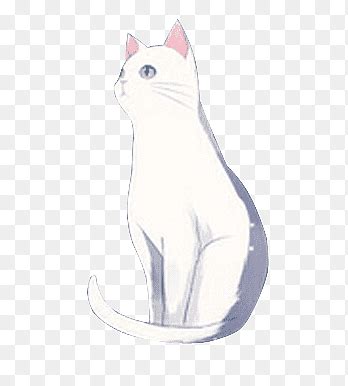 Anime White Cat