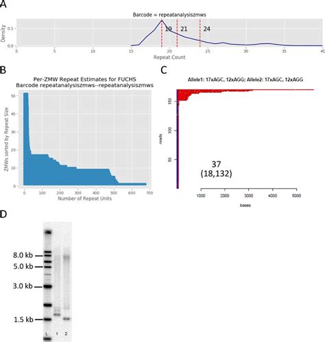 analysis of trinucleotide repeats by long read smrt sequencing for