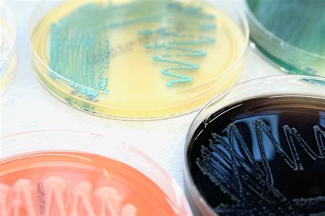 Ukas Accredited Detection Testing For Cosmetics And Personal Care Products