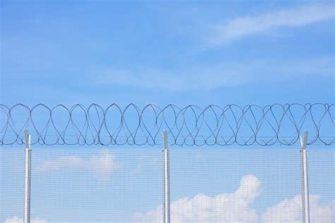 Barbed Wire Fence The Mindful Habit