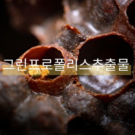 그린프로폴리스추출물 동일팜텍님의 웹사이트