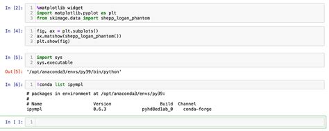 Jupyter Matplotlib Widget