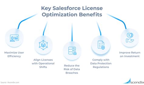 Salesforce License Optimization How To Cut Costs By 30
