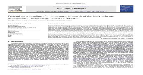 parietal cortex coding of limb posture in search of the body schema
