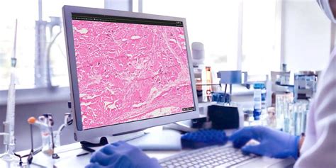 5 Practical Ways To Accelerate Your Microscopy Experiments