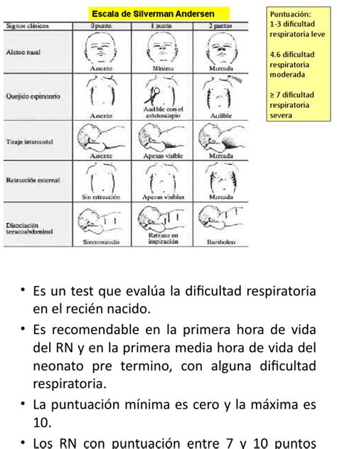 Escala De Silverman Anderson La Importancia De La Escala De Silverman