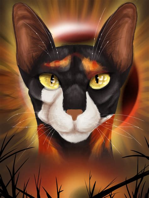 Warrior Cats Sol