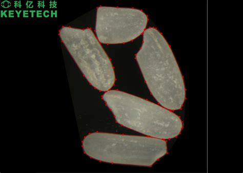 Insect Eaten Ai Rice Grain Quality Analyzer Defect Inspection System For Sale Rice Quality