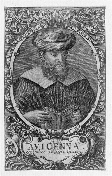 Portrait Of Avicenna Ibn Sina 980 1037 Reading