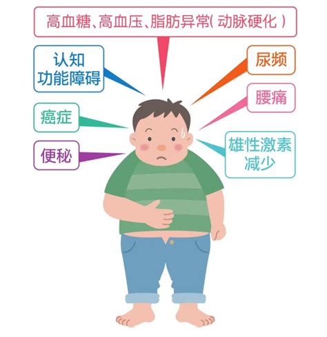 如何减少超标的内脏脂肪 科普基地 华南师范大学体育科学学院