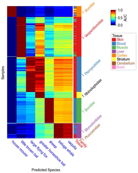A Quick Example — Pycomplexheatmap 177dev0gddb18dad20240909 Documentation