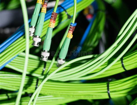 A Large Number Of SDI Wires And Connectors Bnc Patch Panel Cabling