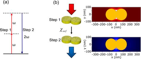 Nonlinear Plasmonics Second Harmonic Generation And Multiphoton