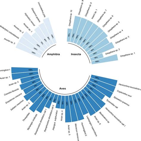 Unsupervised Species Recognition In The Ultrasonic Spectrum Clustering