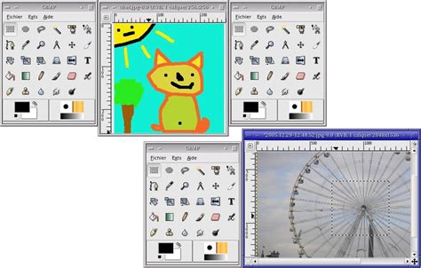 GIMP Screen Layout With Duplicated Toolboxes Download Scientific Diagram