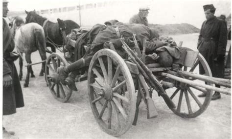 The Bodies Of The Killed Romanian Soldiers Loaded On A Cart On The