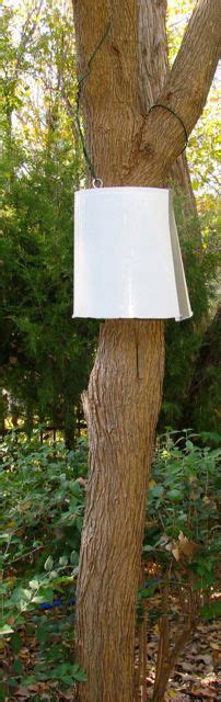 Protection From Tree Rats Plastic Fruit Squirrel Baffle Tree