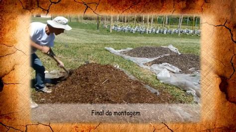 Como Fazer Compostagem 100 Vegetal E Gerar Seu Próprio Adubo Orgânico