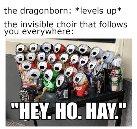 Are They Greybeards Rskyrimmemes