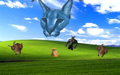 Windows Xp Meme Floppa In 2025 Memes Windows Xp Funny