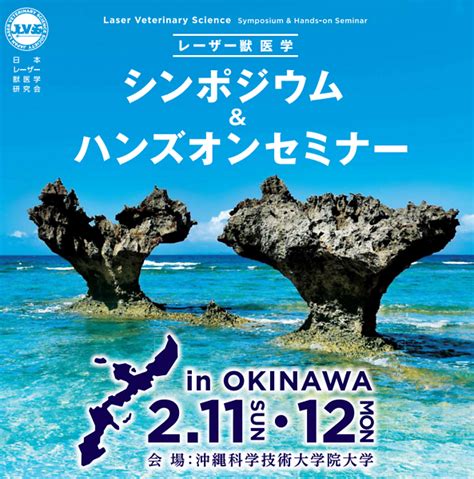 Laser Veterinary Science Symposium And Hands On Seminar Oist Groups