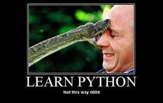 Python Council Christ The King